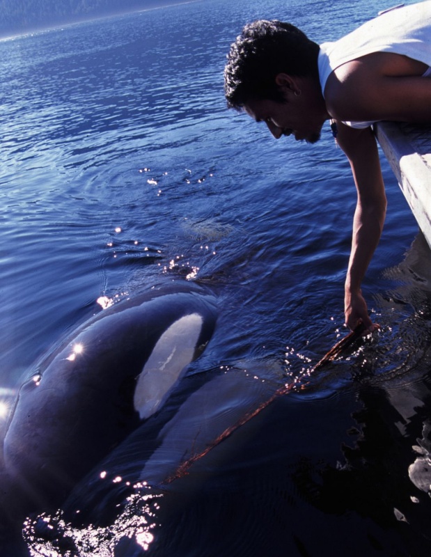 Saving Luna - DVD (Kanada 2007)