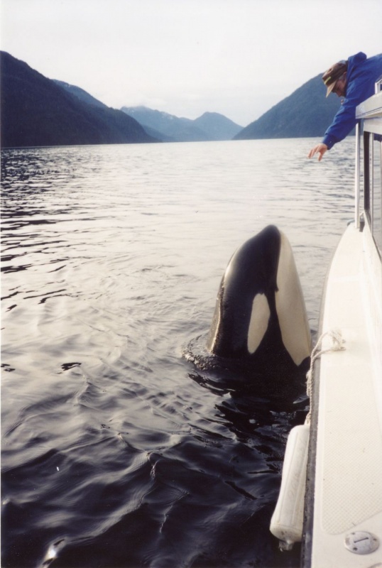 Saving Luna - DVD (Kanada 2007)