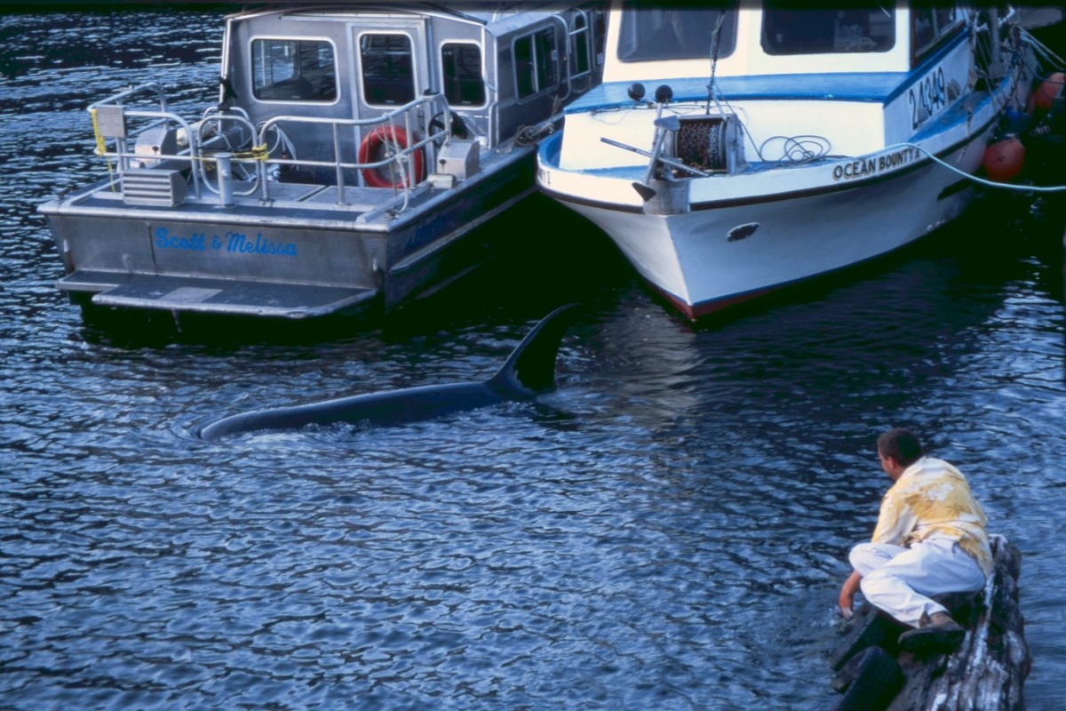 Saving Luna - DVD (Kanada 2007)